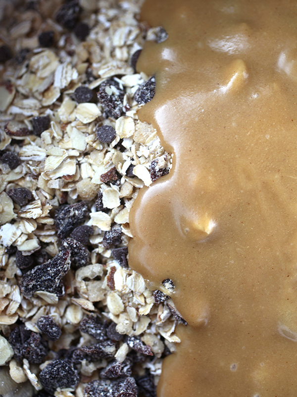 Grab and Go Breakfast Bars | Bakerella | Bloglovin’
