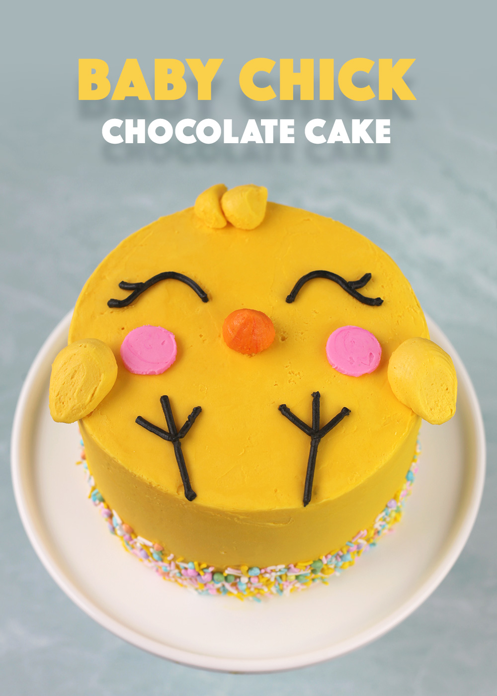 Sweet Baby Chick Cake | Bakerella