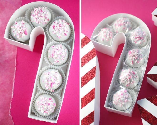 DIY Candy Cane Treat Box - Bakerella
