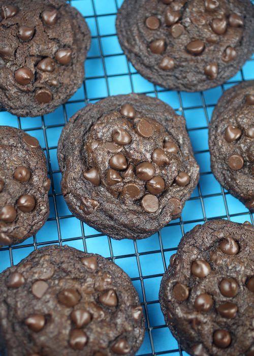 Make these cookies! | Bakerella