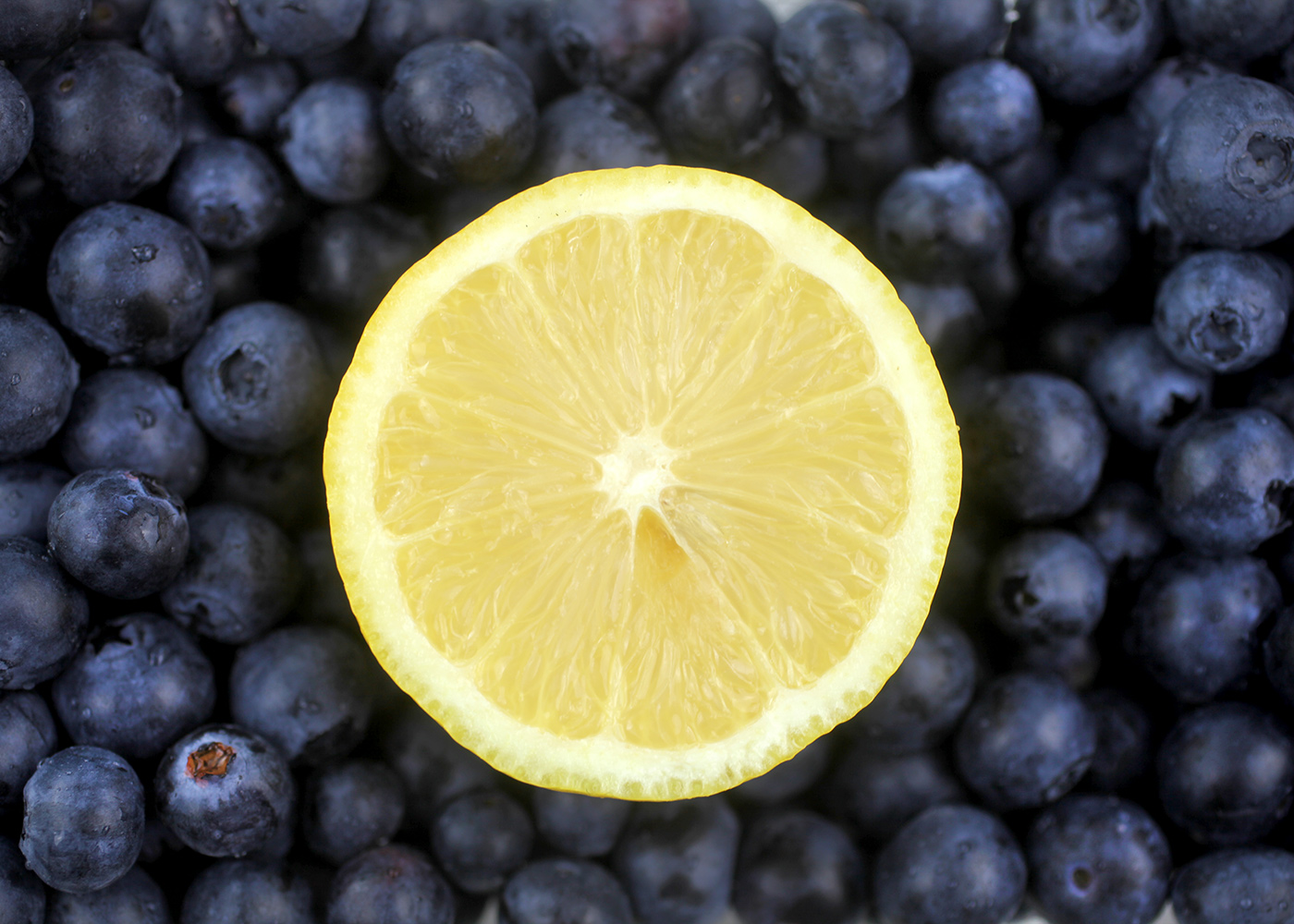 Luscious Lemon Blueberry Cake - Bakerella