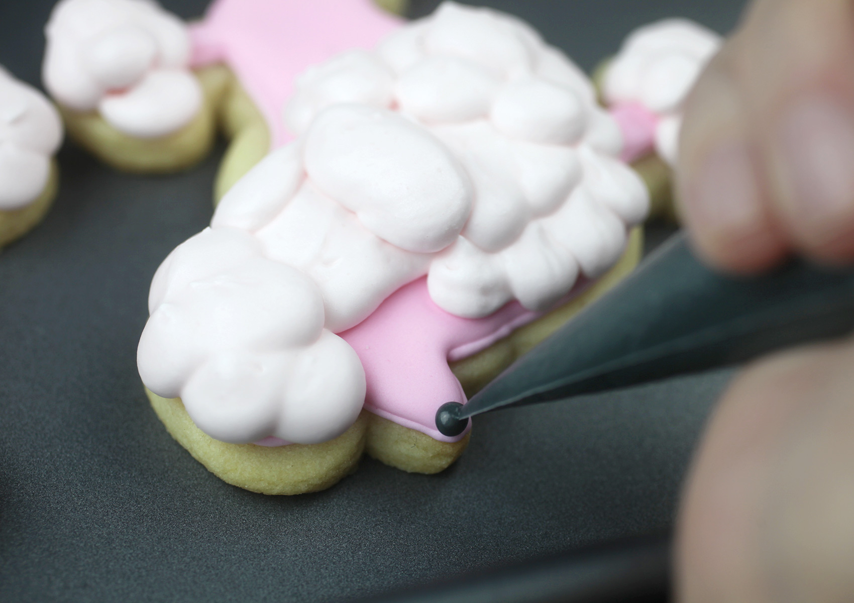 Oodles of Cute Poodle Cookies | Bakerella