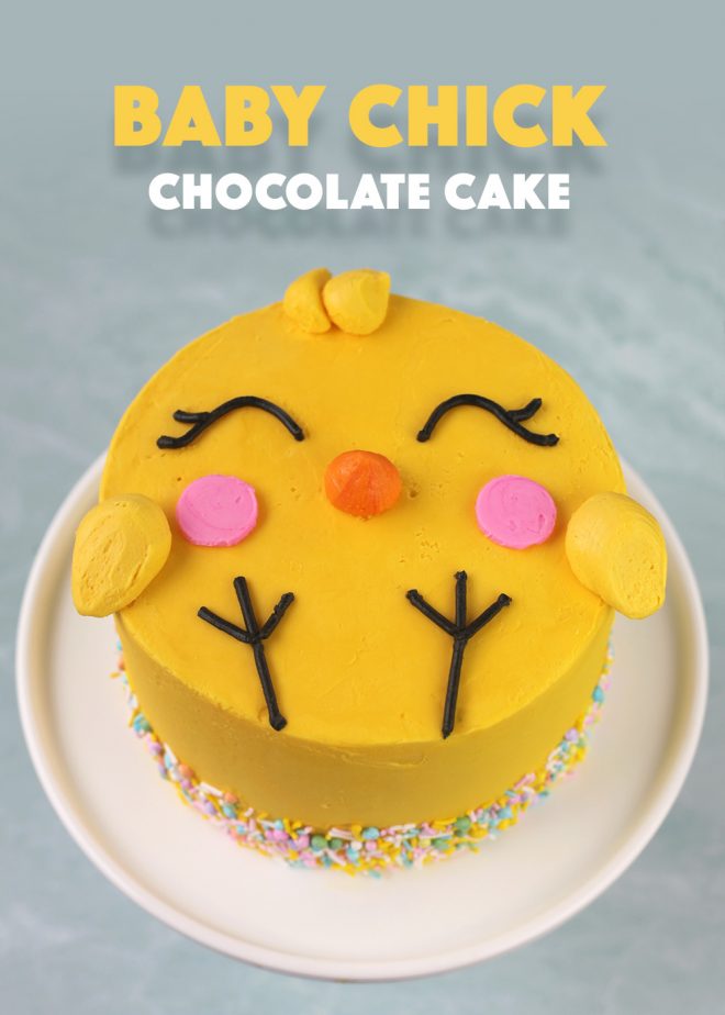 Sweet Baby Chick Cake | Bakerella