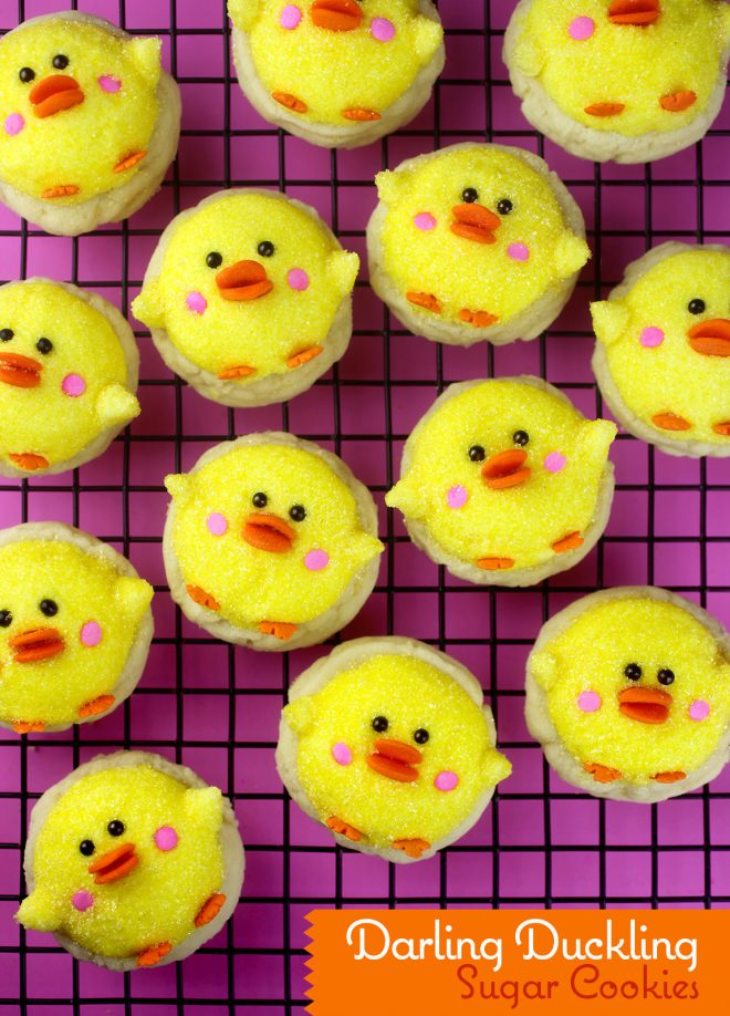 Darling Duckling Sugar Cookies - Bakerella