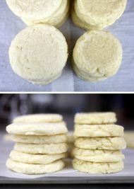 Darling Duckling Sugar Cookies - Bakerella