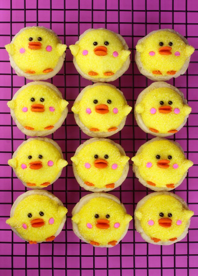 Darling Duckling Sugar Cookies - Bakerella