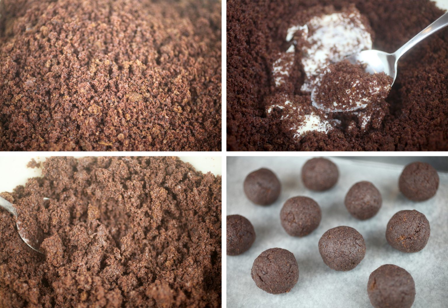 Wood you be mine? Beaver Cake Pops. - Bakerella