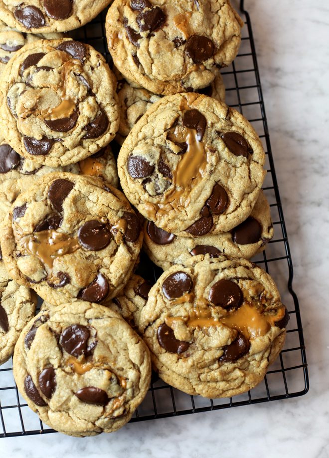 Biscoff Chocolate Chip Cookies - Bakerella