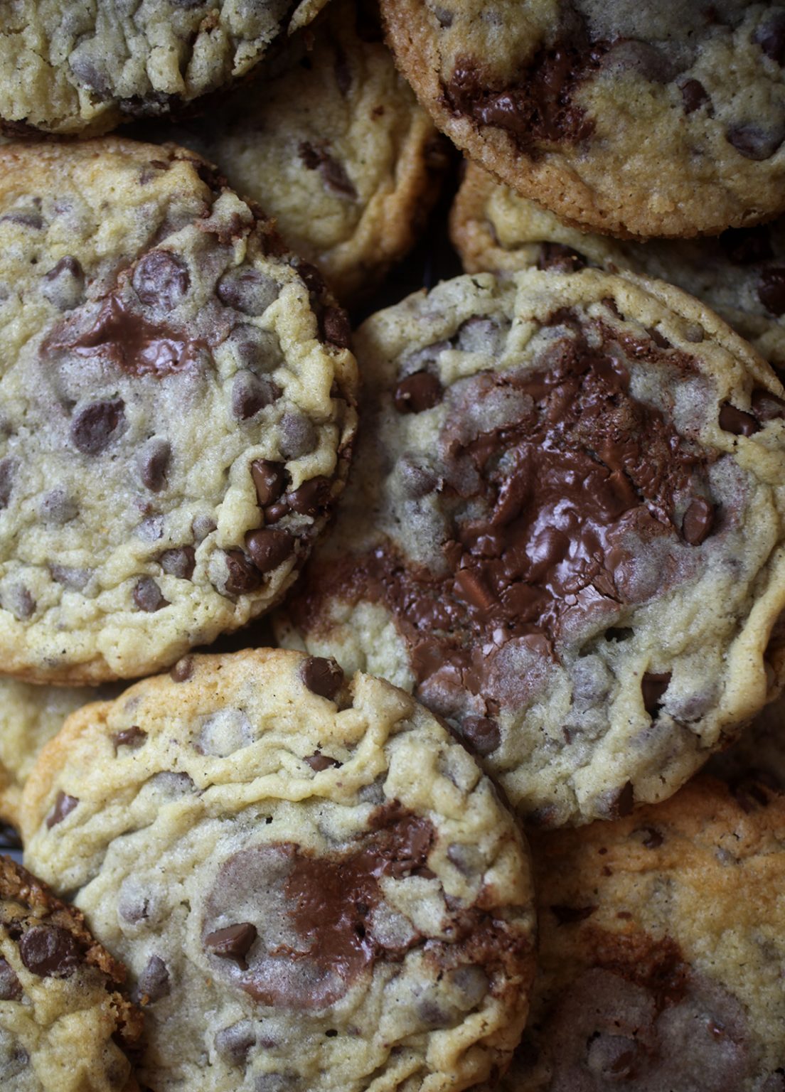 Milk Chocolate Chip Truffle Cookies - Bakerella